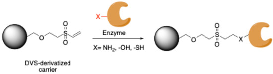 A Comprehensive Guide to Enzyme Immobilization: All You Need to Know