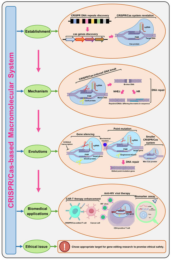 From Origin to the Present: Establishment, Mechanism, Evolutions and ...
