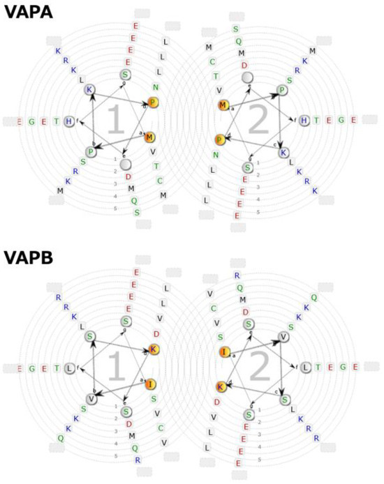 Beyond Static Tethering at Membrane Contact Sites: Structural Dynamics ...