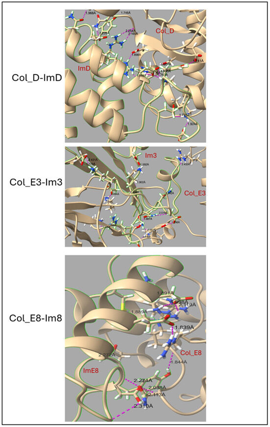 Binding Free Energy Analysis of Colicin D, E3 and E8 to Their ...