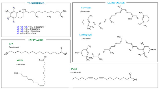 Analytical Strategies for Green Extraction, Characterization, and Bioactive Evaluation of ...