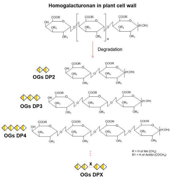 Potential of Bio-Sourced Oligogalacturonides in Crop Protection