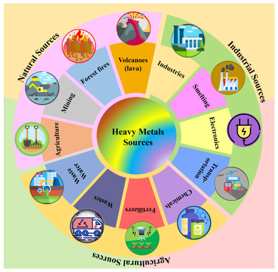 Heavy Metals in Particulate Matter—Trends and Impacts on Environment