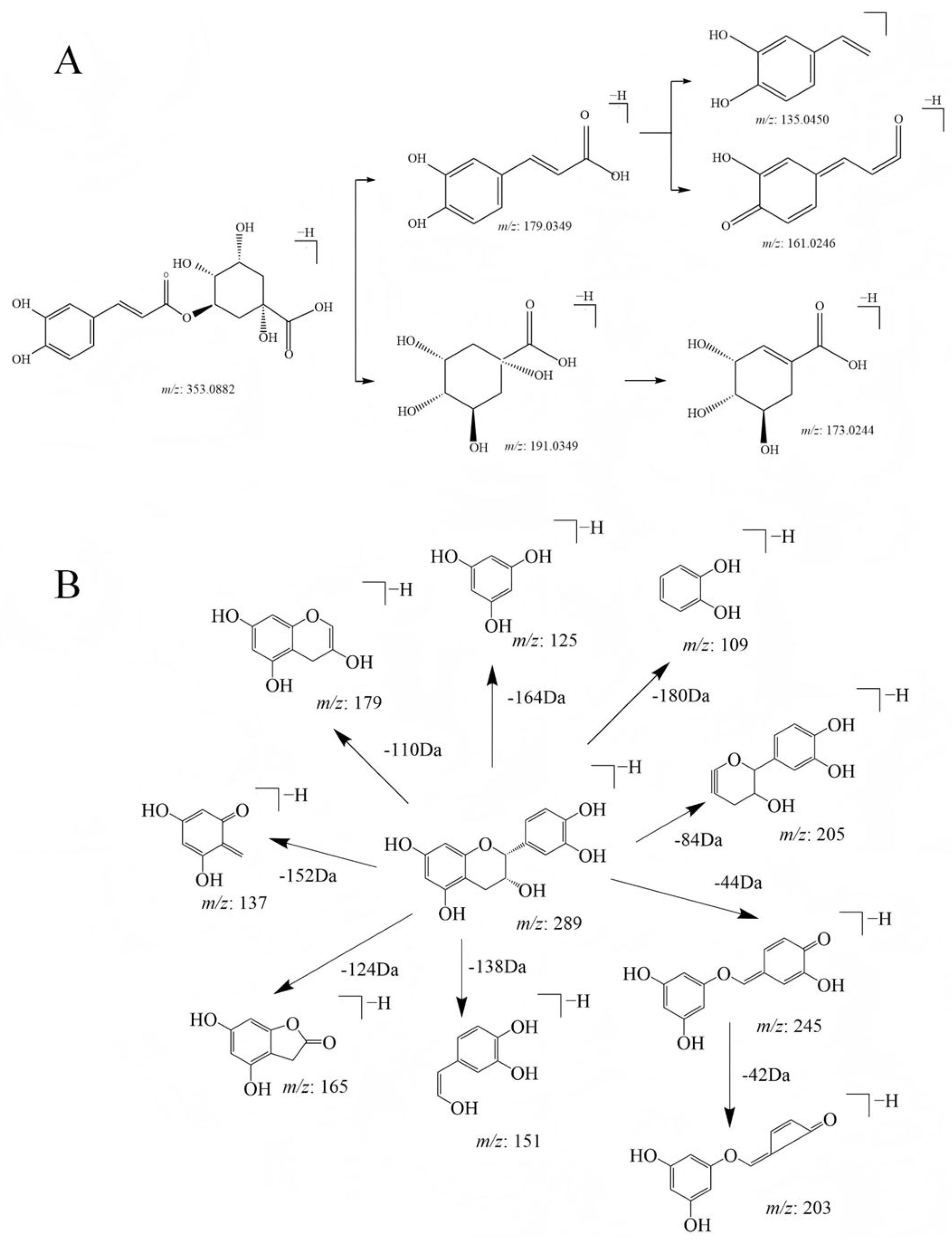 Analysis of Macroporous Resin Combined Extraction and Purification of ...
