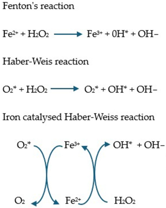 Lactoferrin—A Regulator of Iron Homeostasis and Its Implications in Cancer