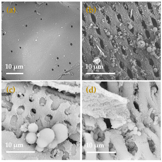 Efficient Adsorption of Methylene Blue by Polyaminocarboxylated Modified Hydrochar Derived from ...