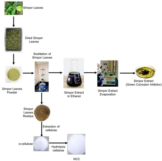 Extraction, Preparation and Characterization of Nanocrystalline ...