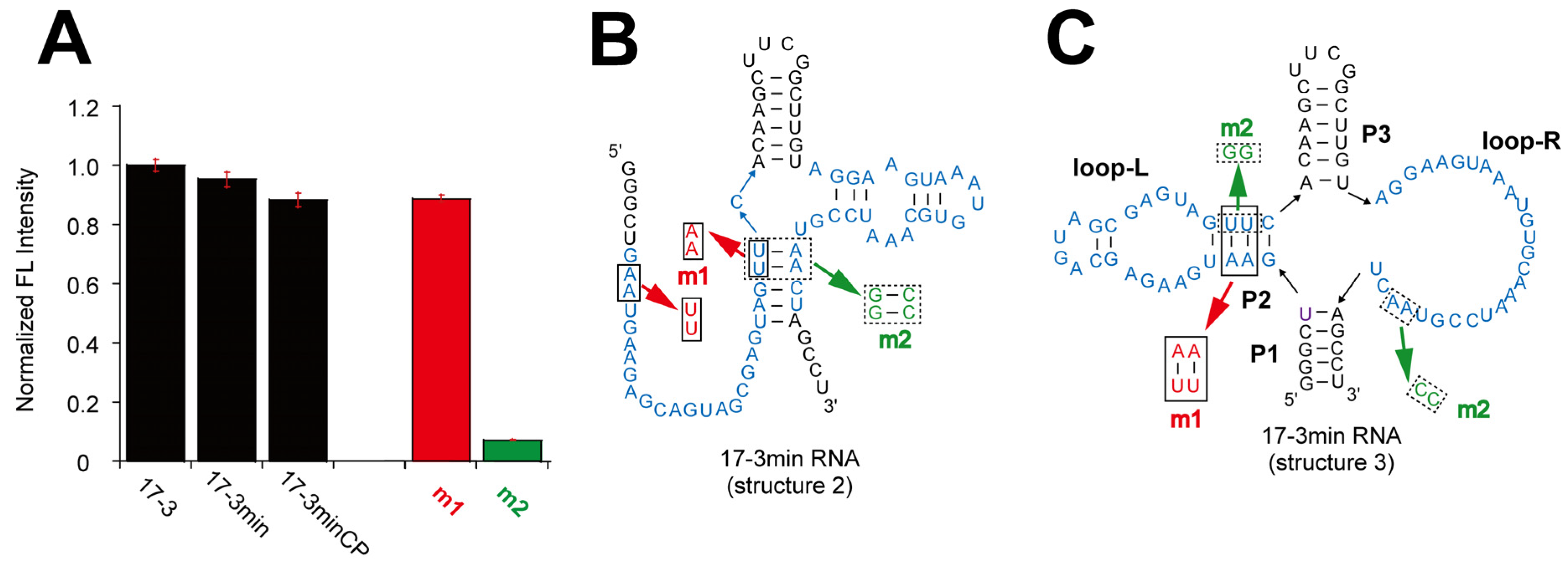 Biochemical Characterization of a Non-G4-Type RNA Aptamer That Lights ...