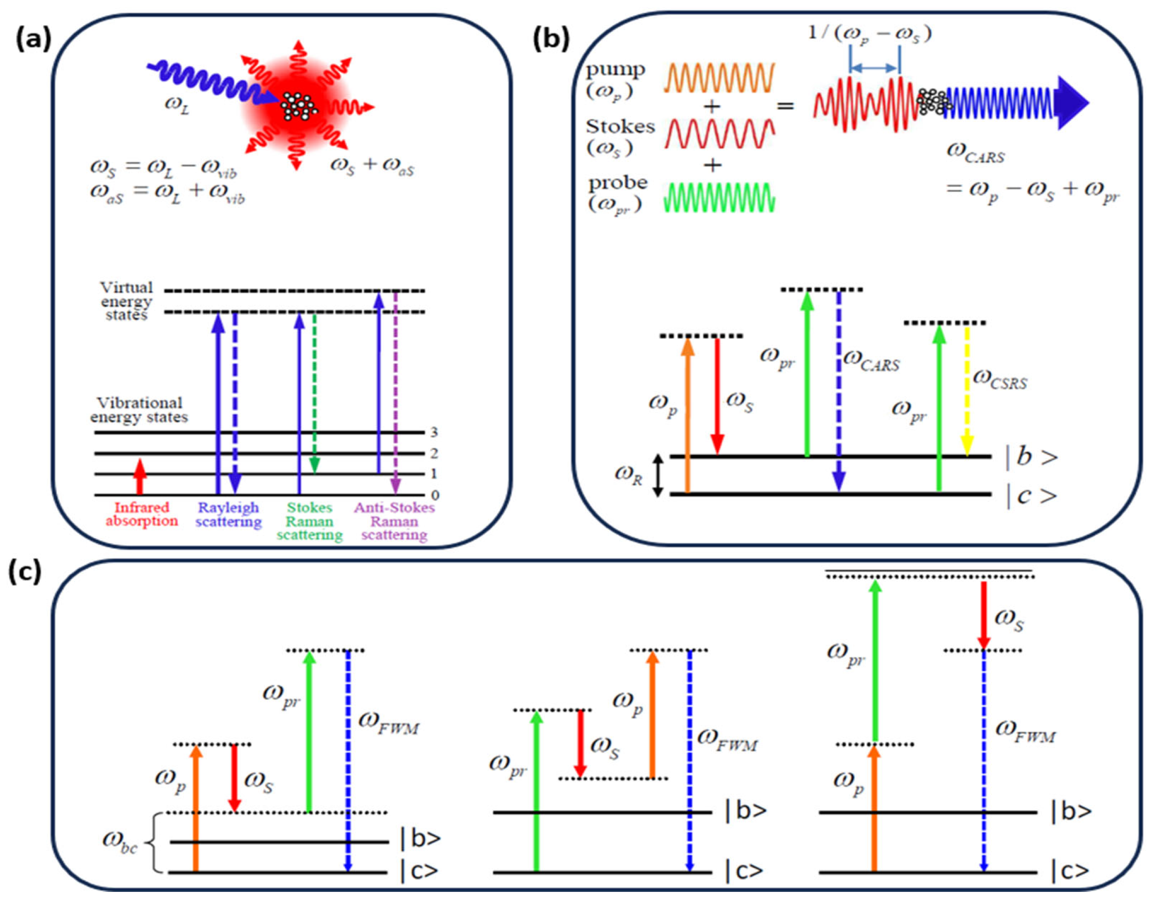 Coherent Vibrational Anti-Stokes Raman Spectroscopy Assisted by Pulse ...