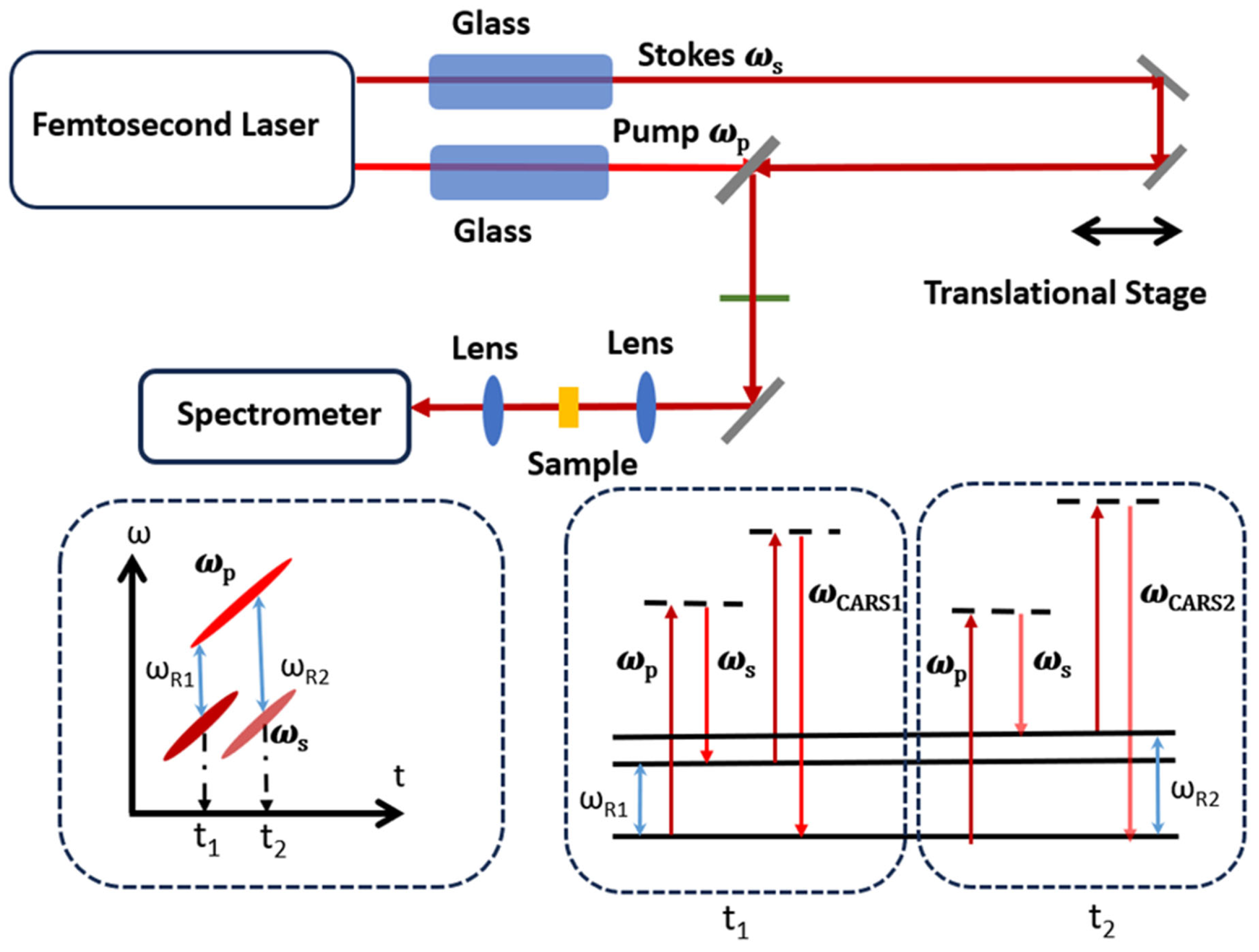 Coherent Vibrational Anti-Stokes Raman Spectroscopy Assisted by Pulse ...