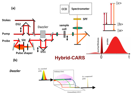 Coherent Vibrational Anti-Stokes Raman Spectroscopy Assisted by Pulse ...