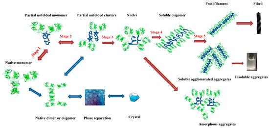 Antibody Aggregate Removal by Multimodal Chromatography