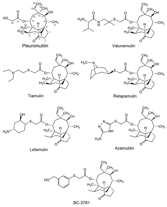 The Synthesis and Biological Evaluation of a Novel Pleuromutilin ...
