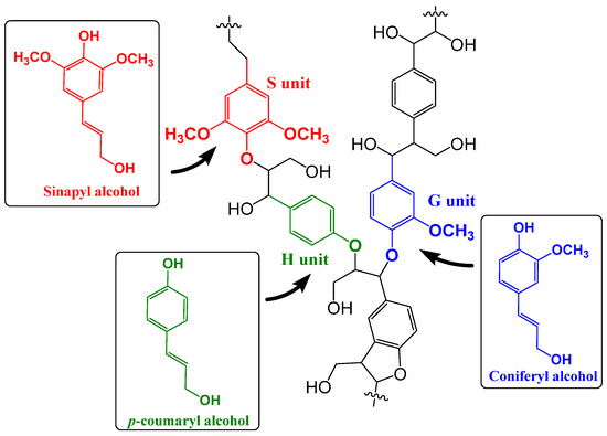 Tailoring Polymer Properties Through Lignin Addition: A Recent ...