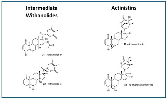 Anticancer Effects of Withanolides: In Silico Prediction of ...