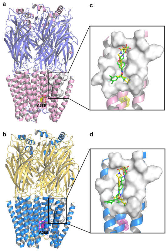 The Structural Basis of Binding Stability and Selectivity of Sarolaner ...