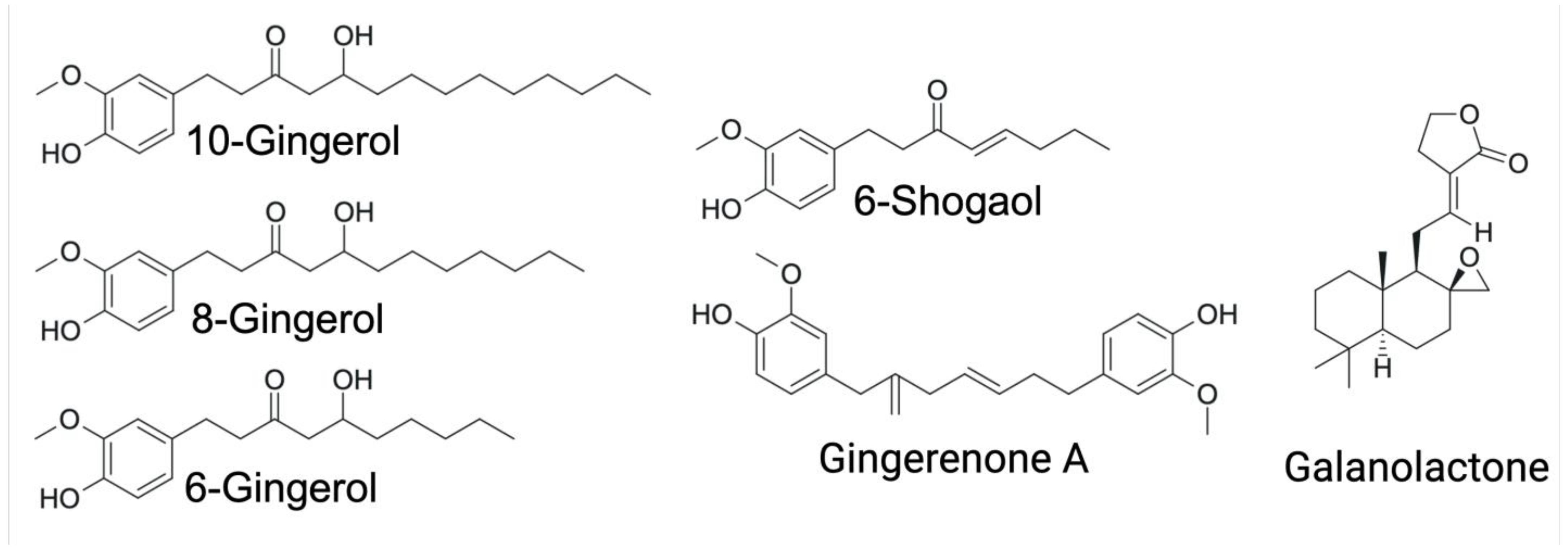 Immunometabolic Effects of Ginger (Zingiber officinale Roscoe ...