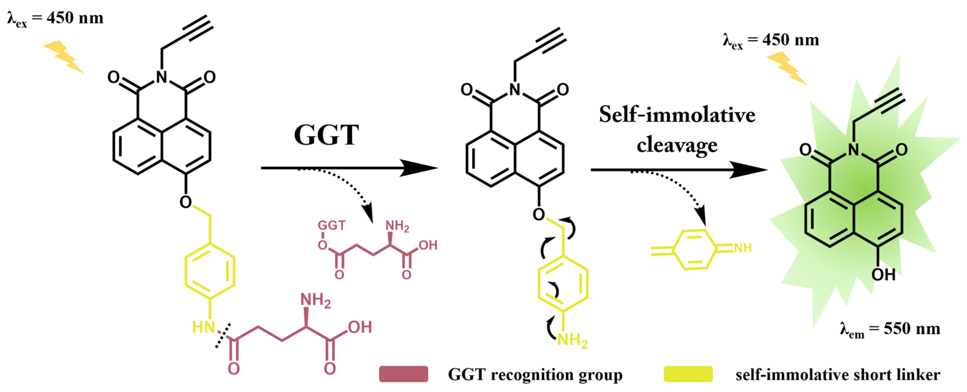 Naphthalimide-Based Fluorescent Probe for Portable and Rapid Response ...
