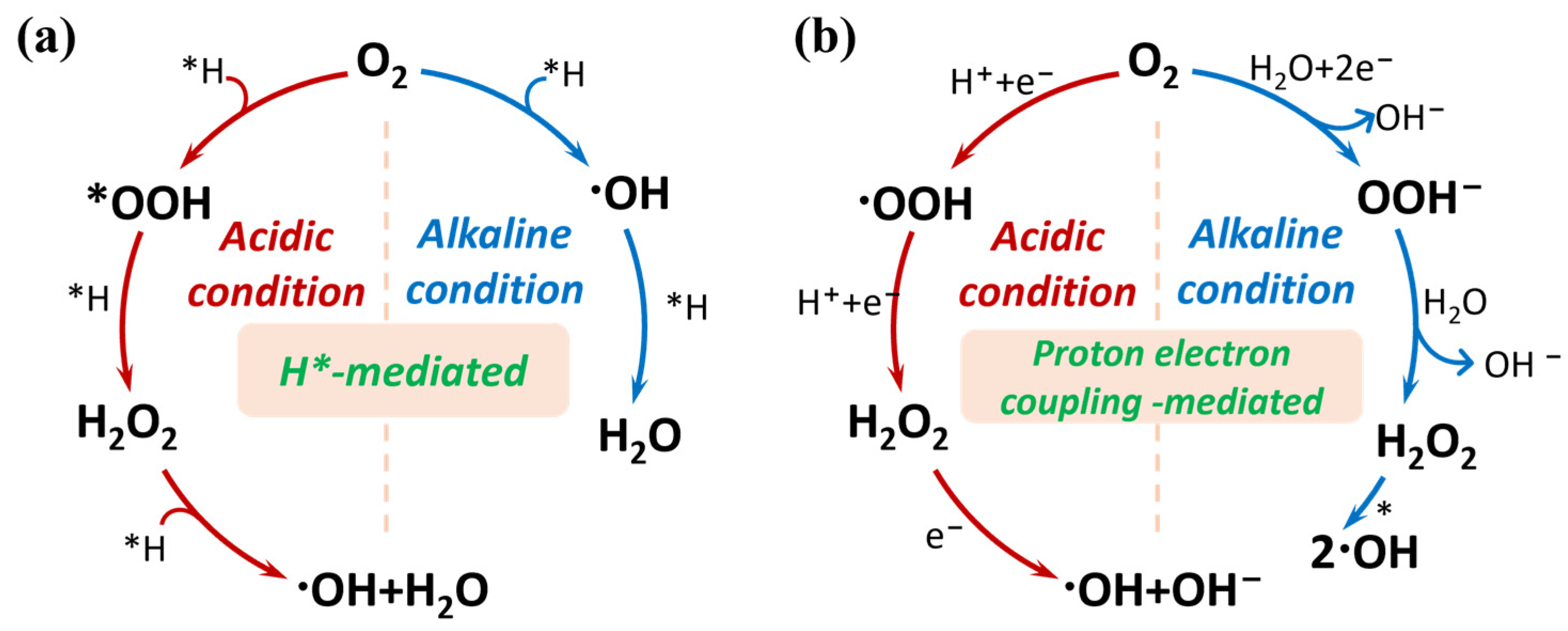 Design and Application of Atomically Dispersed Transition Metal–Carbon ...