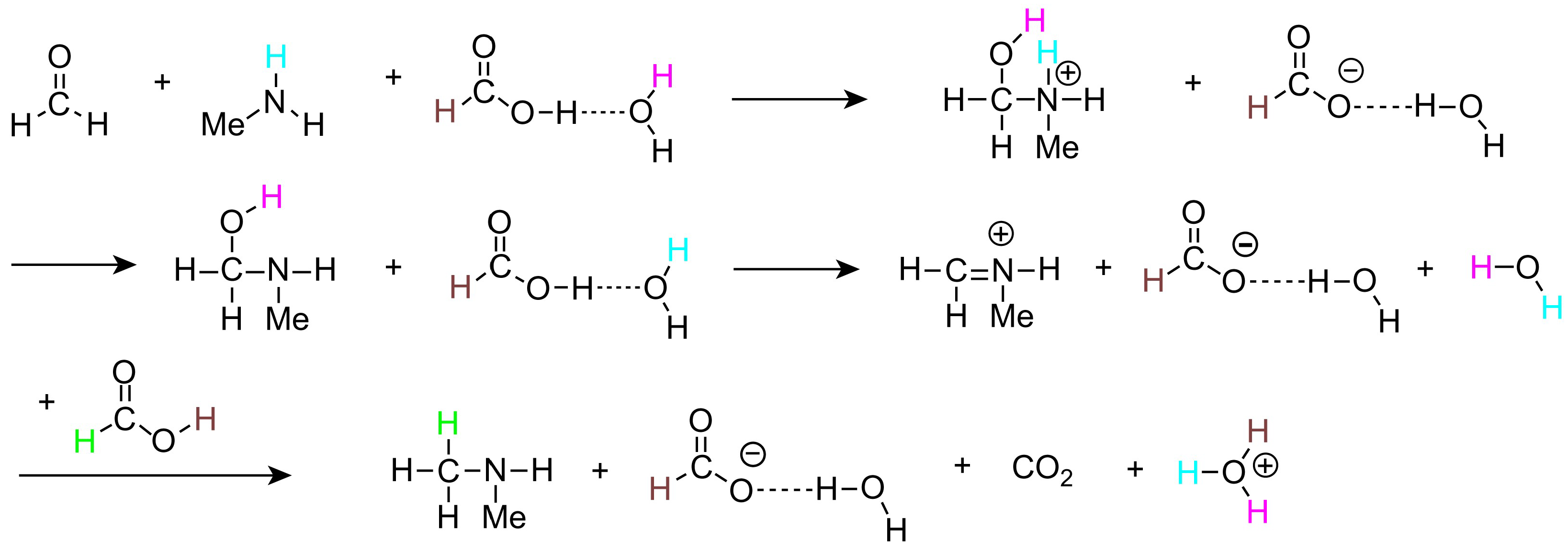 Review of Modern Eschweiler–Clarke Methylation Reaction
