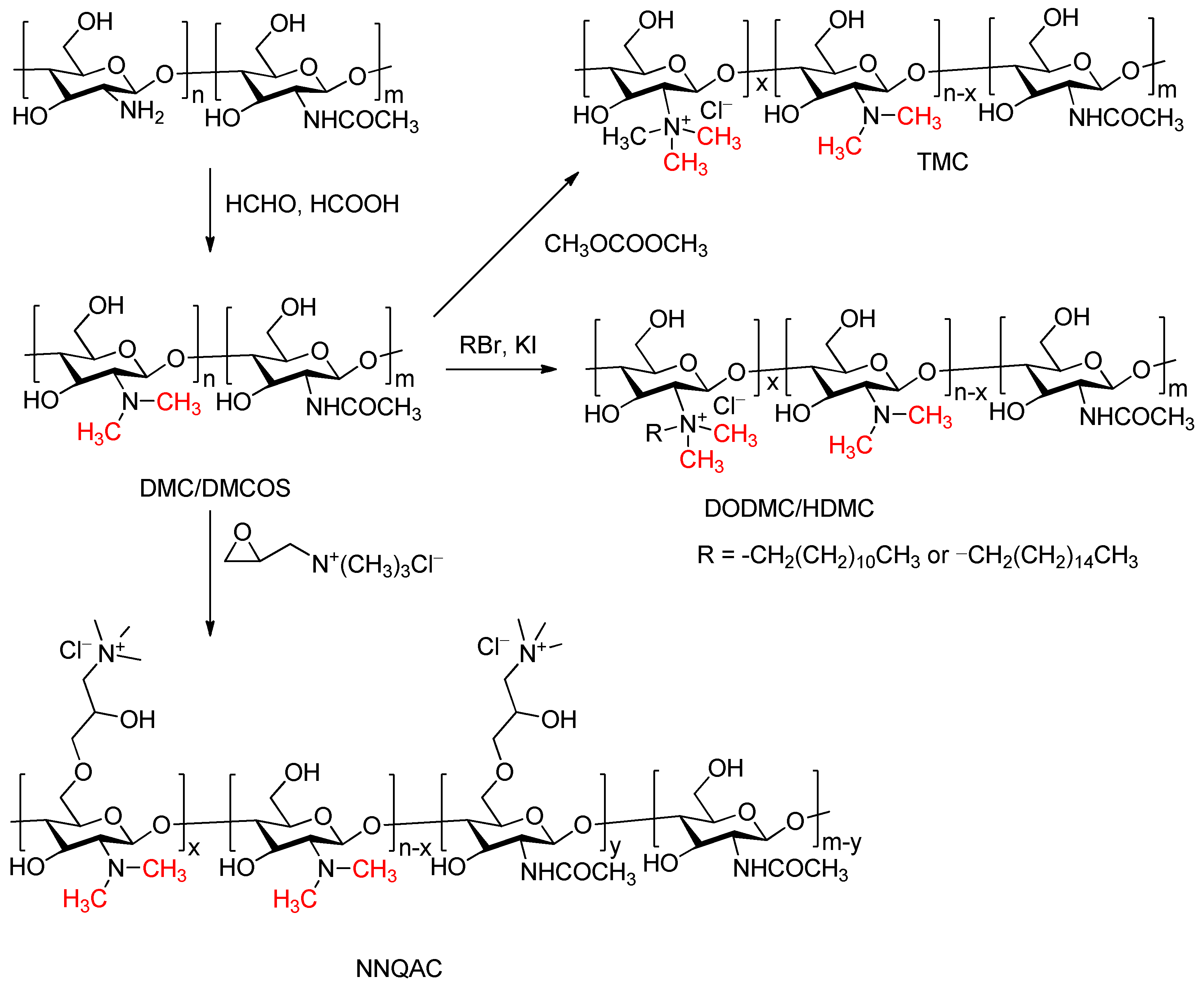 Review of Modern Eschweiler–Clarke Methylation Reaction
