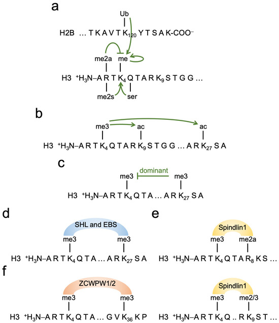 Role of Histone H3 Lysine 4 Methylation in Chromatin Biology
