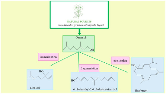 Vermiculite as an Eco-Friendly Catalyst in the Isomerization and ...