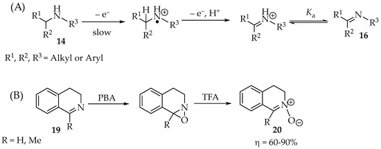 Nitrones: Comprehensive Review on Synthesis and Applications