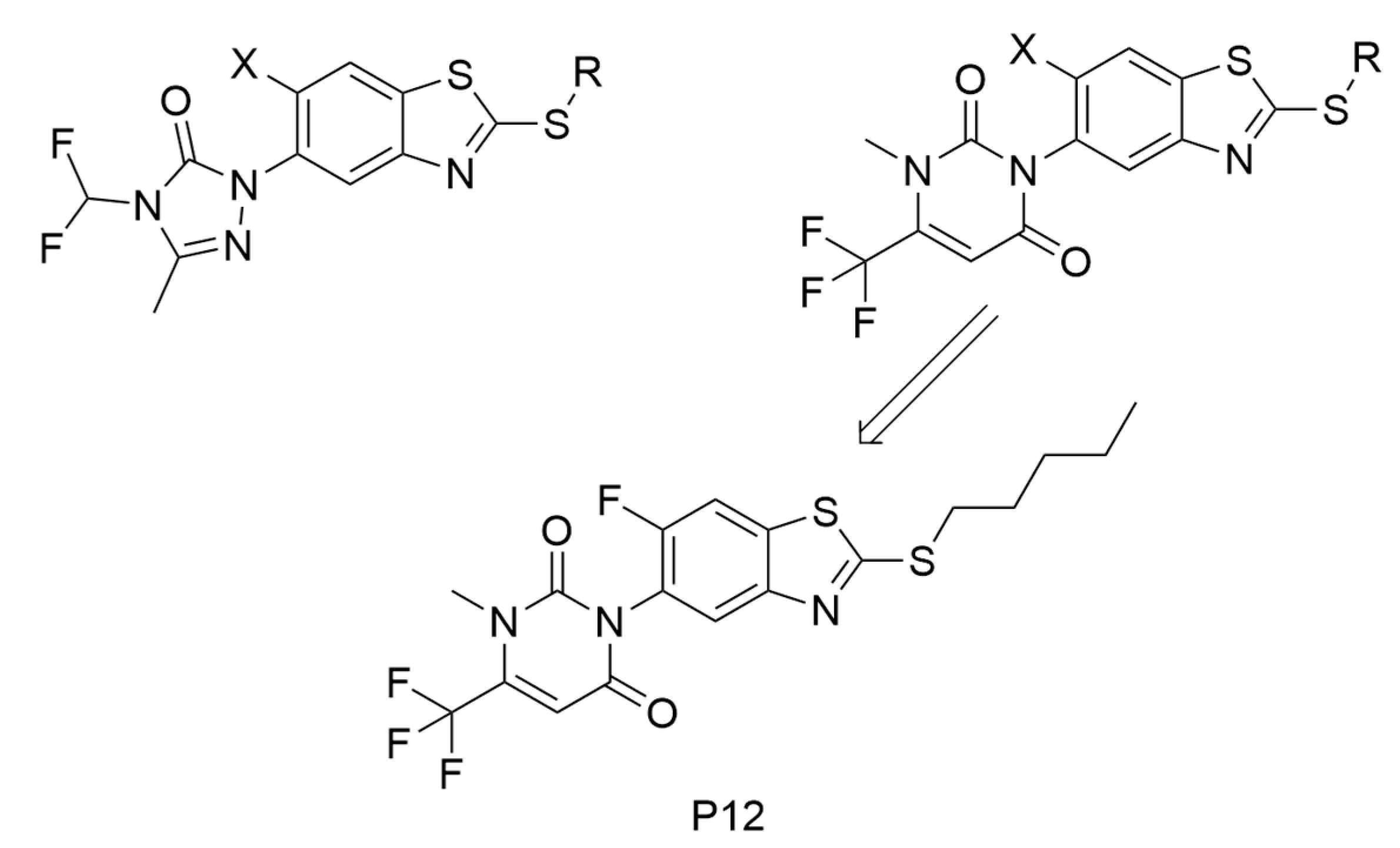 PPO Inhibitors as a Key Focus in Herbicide Discovery