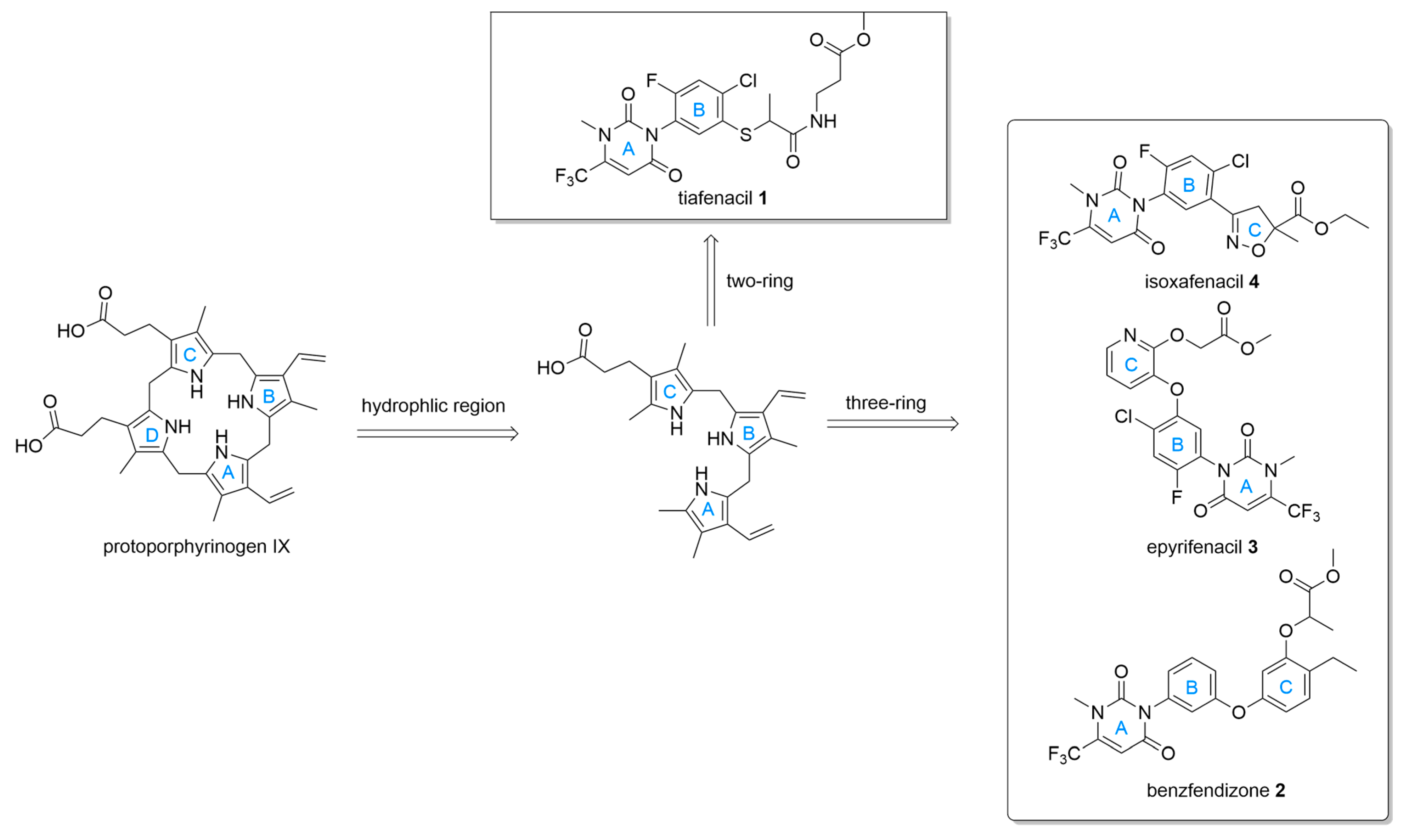 PPO Inhibitors as a Key Focus in Herbicide Discovery