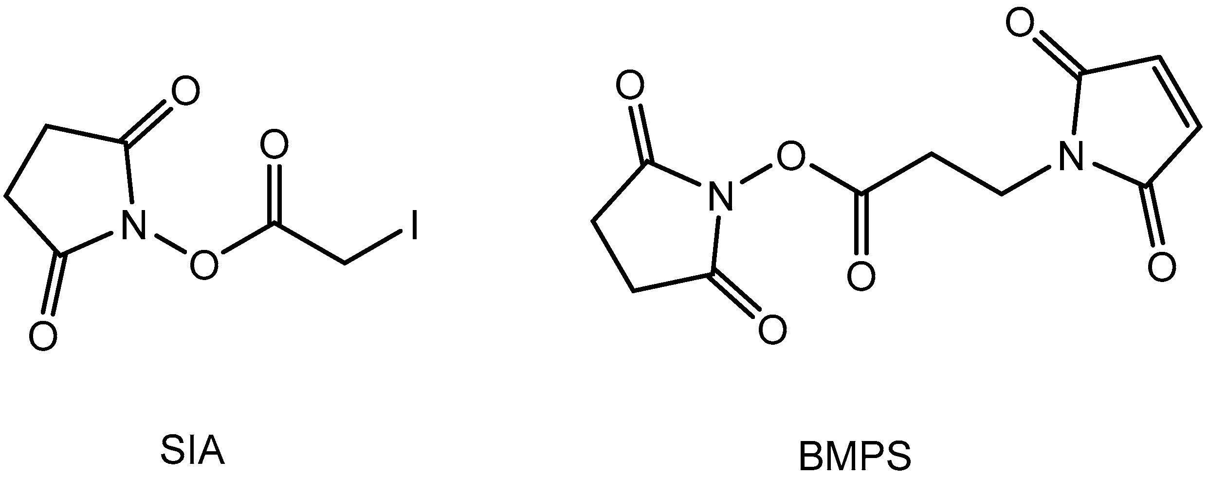 Predictable Peptide Conjugation Ratios by Activation of Proteins with ...