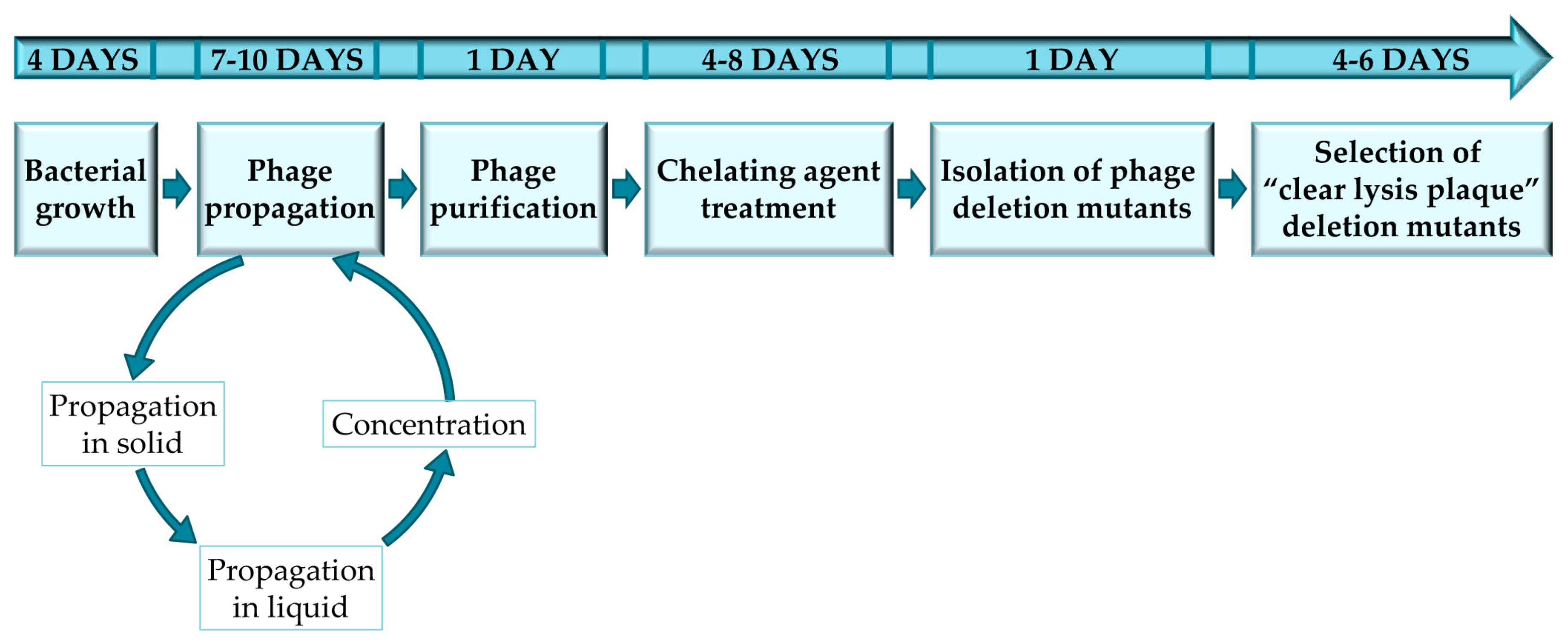 Practical Method for Isolation of Phage Deletion Mutants