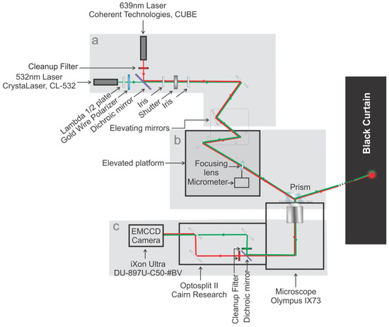 Build Your Own Microscope: Step-By-Step Guide for Building a Prism ...