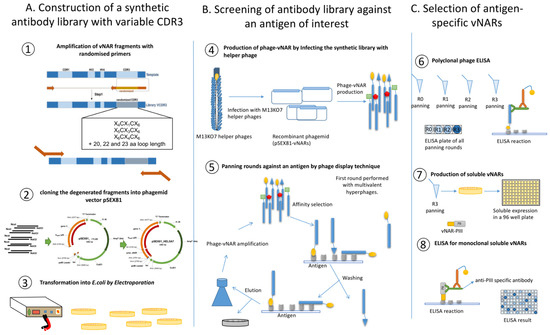 Efficient Construction and Effective Screening of Synthetic Domain ...