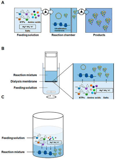 Cell-Free Metabolic Engineering: Recent Developments and Future Prospects