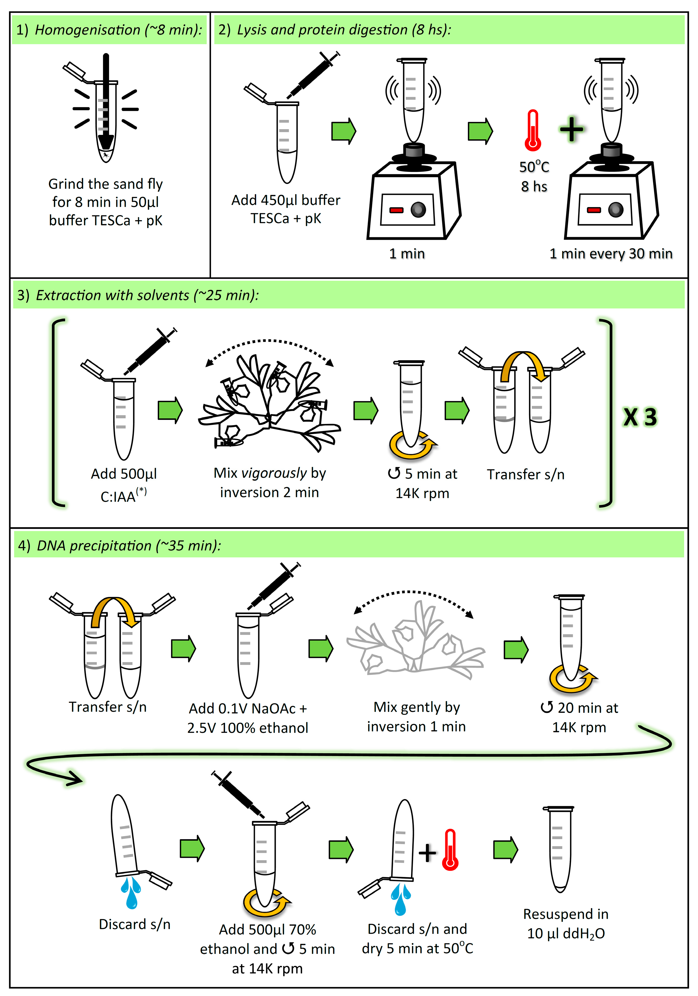 Lysis Buffer Recipe For Dna Extraction | Deporecipe.co
