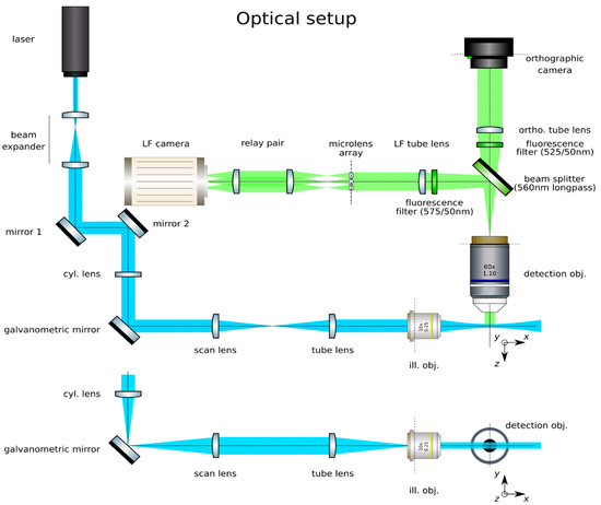 Protocol for the Design and Assembly of a Light Sheet Light Field Microscope