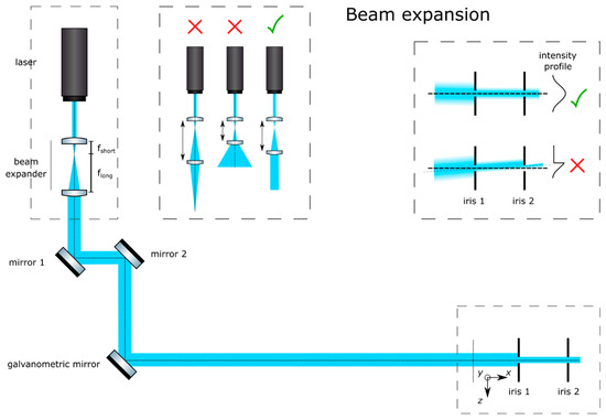 Protocol for the Design and Assembly of a Light Sheet Light Field Microscope