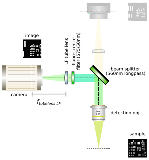 Protocol for the Design and Assembly of a Light Sheet Light Field Microscope