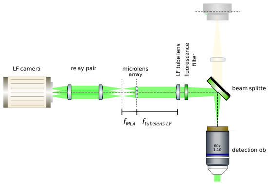 Protocol for the Design and Assembly of a Light Sheet Light Field Microscope