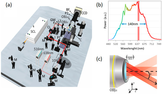Enhanced Light Sheet Elastic Scattering Microscopy by Using a ...