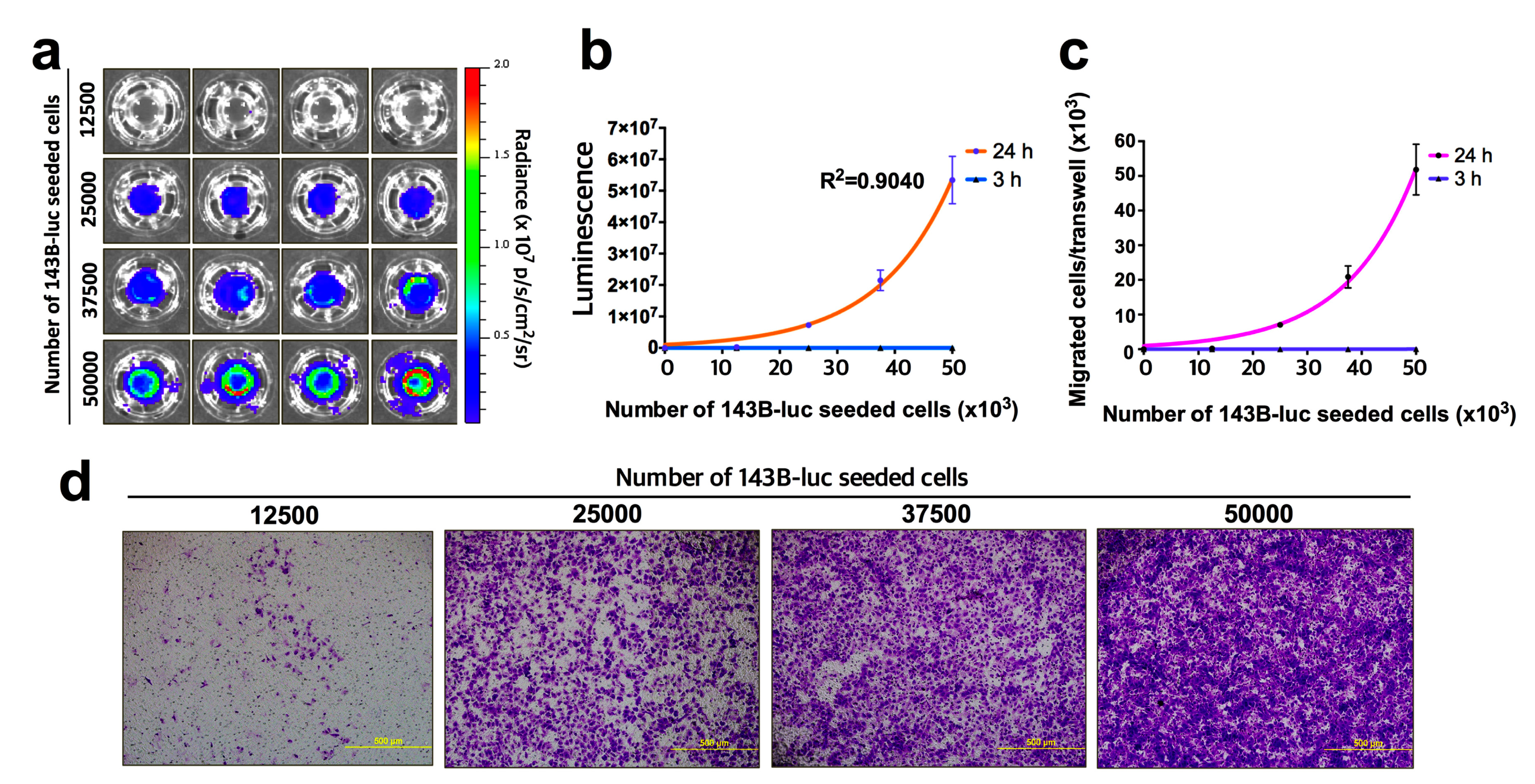 A Rapid and Accurate Bioluminescence-Based Migration Assay Permitting ...