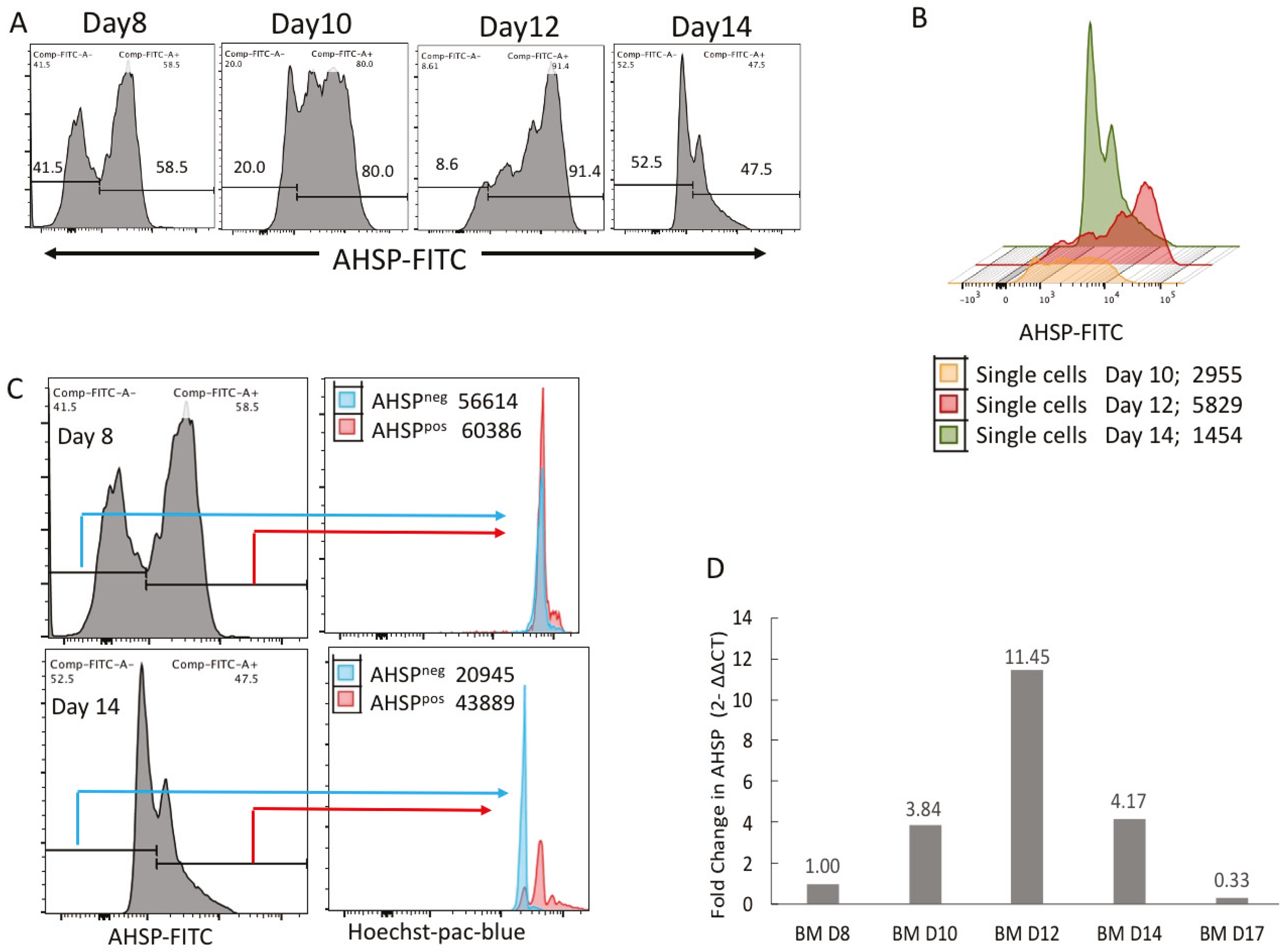 Stage Specific Expression Pattern of Alpha-Hemoglobin-Stabilizing ...