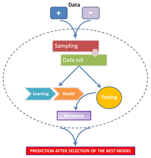 MPs | Free Full-Text | miRNA Targets: From Prediction Tools to ...