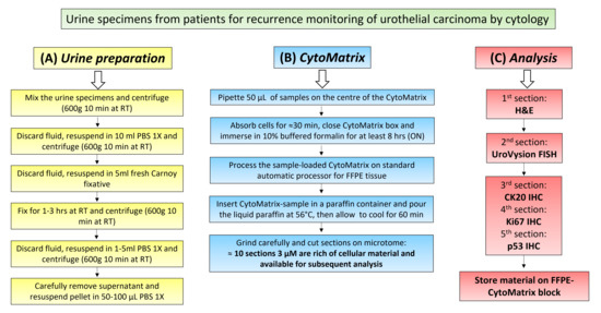 MPs | Free Full-Text | Improvement of the Collection, Maintenance, and ...
