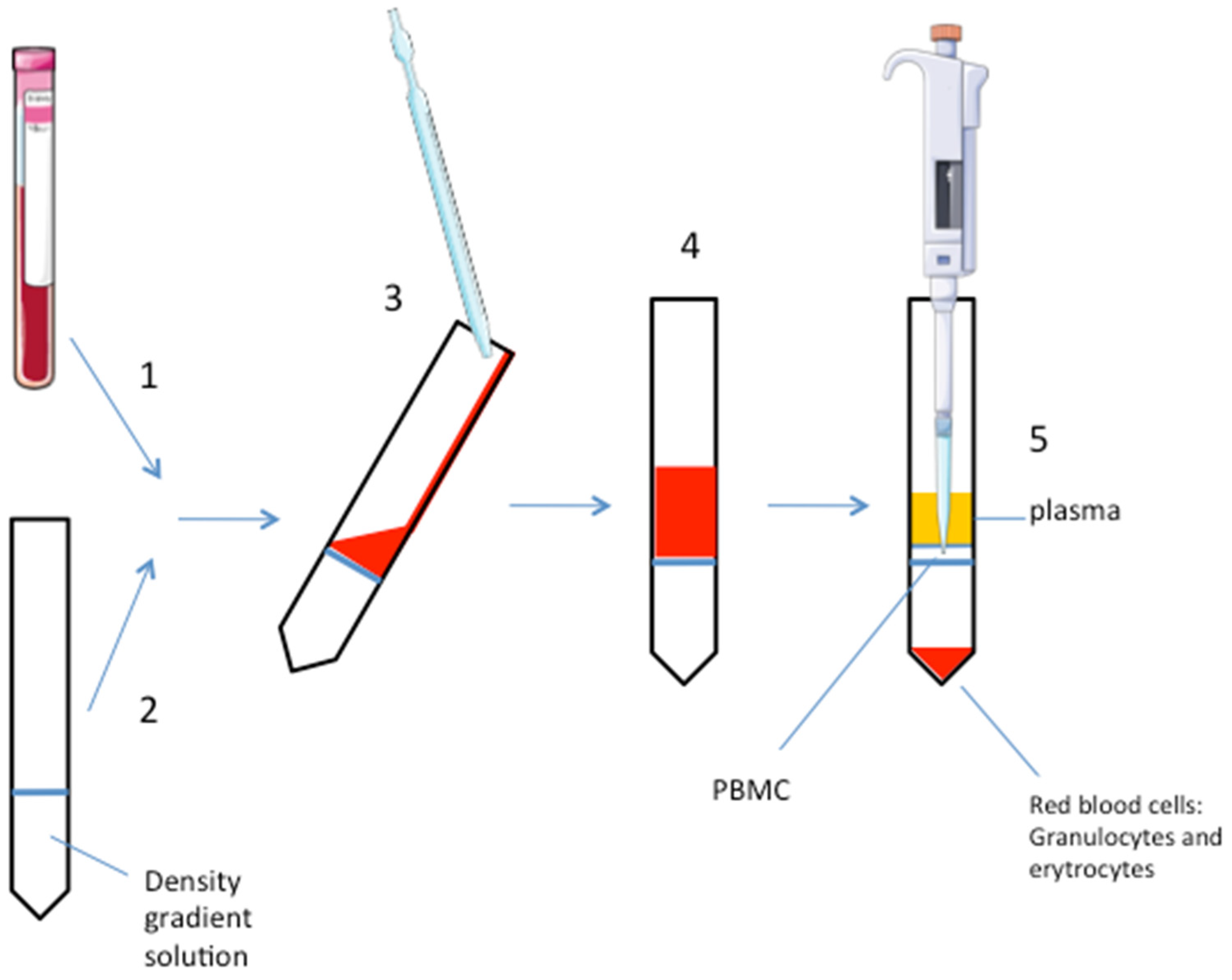 Facs Buffer Recipe Edta Besto Blog