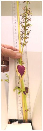 Methods and Protocols | An Open Access Journal from MDPI