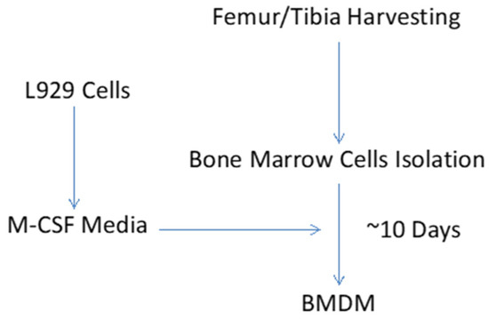 Methods and Protocols | An Open Access Journal from MDPI