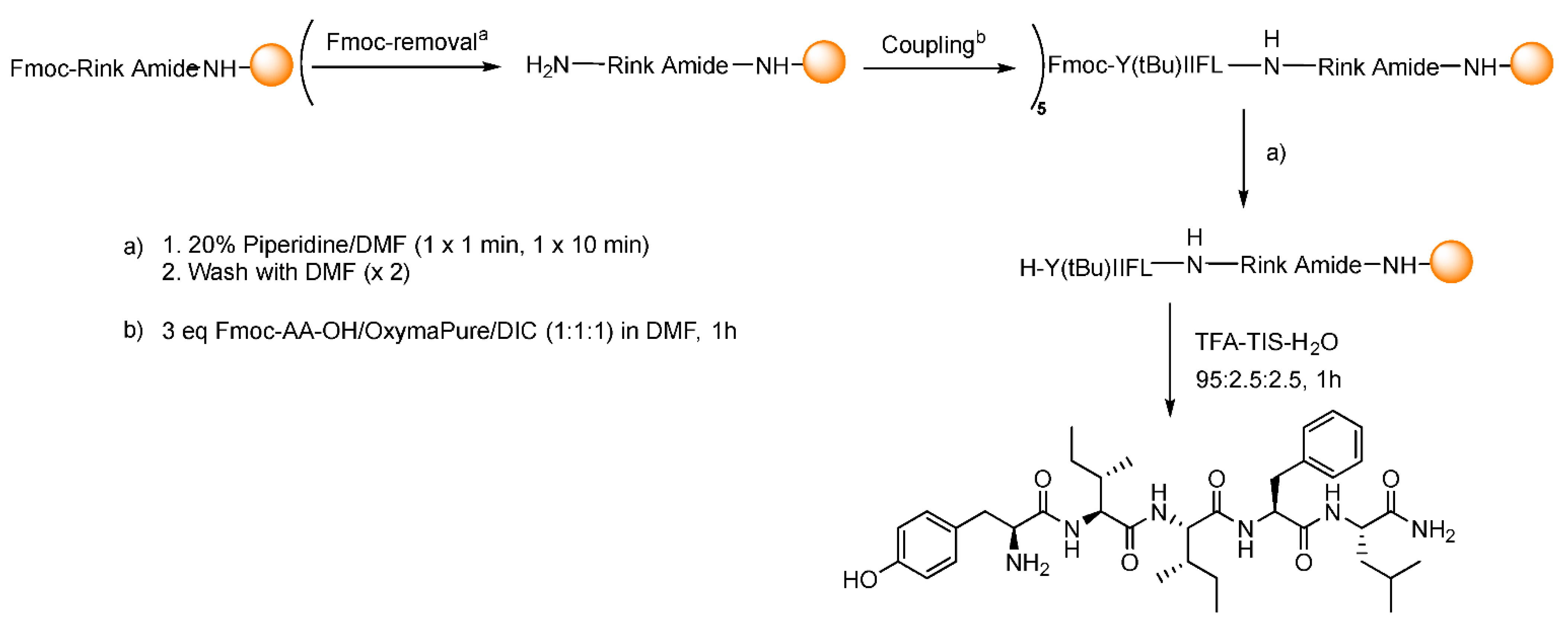 A Practical Peptide Synthesis Workflow Using Amino-Li-Resin