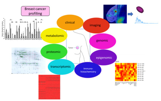 Radiogenomics, Breast Cancer Diagnosis and Characterization: Current ...